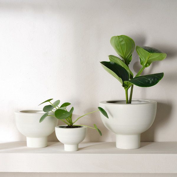 ASA Selection midoro Übertopf 24 cm soft shell – tafel-ambiente.de